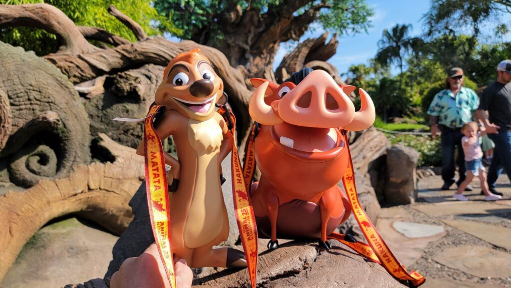 Timon Sipper Debuts at Disney's Animal Kingdom | Chip and Company