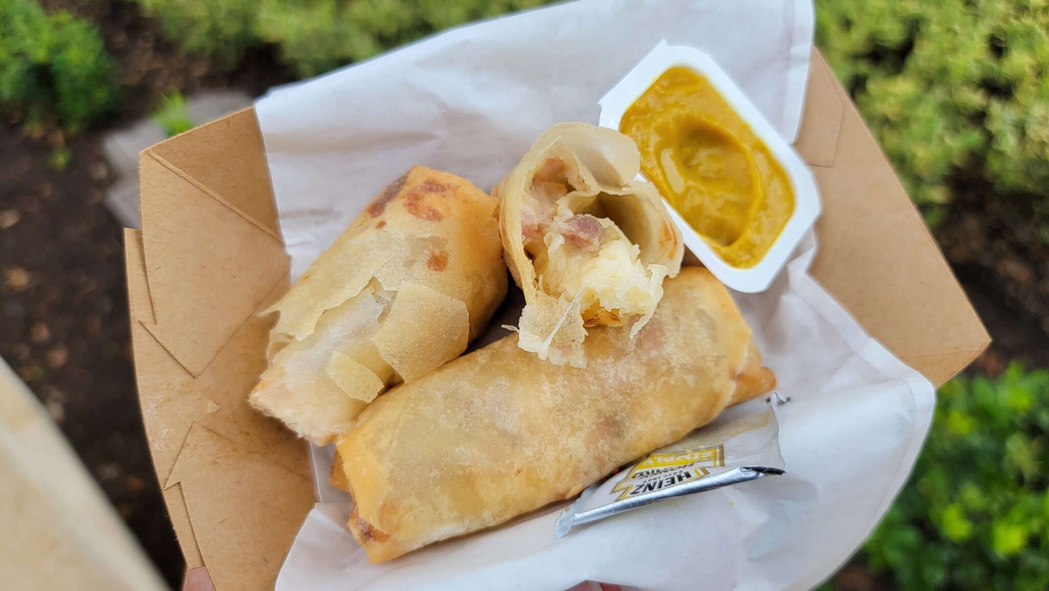 New Chicken Ham and Cheese Spring Roll at the Magic Kingdom | Chip and ...