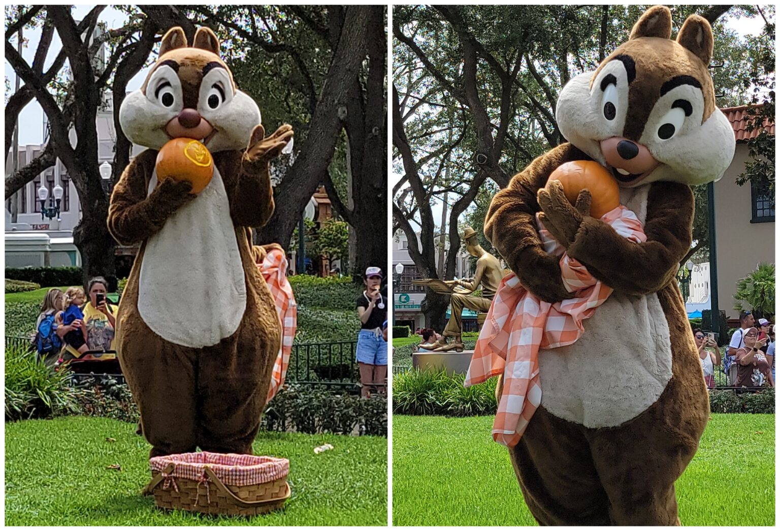 Chip and Dale Have a Fall Picnic in July at Hollywood Studios | Chip ...