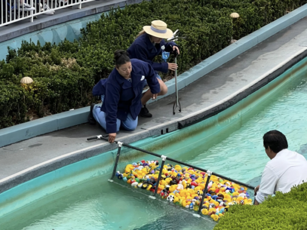 Disneyland Cast Members Celebrate Duck Races for Charity | Chip and Company