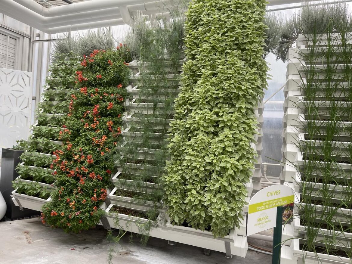 Living With the Land Gets New Vertical Hydroponics System in EPCOT ...
