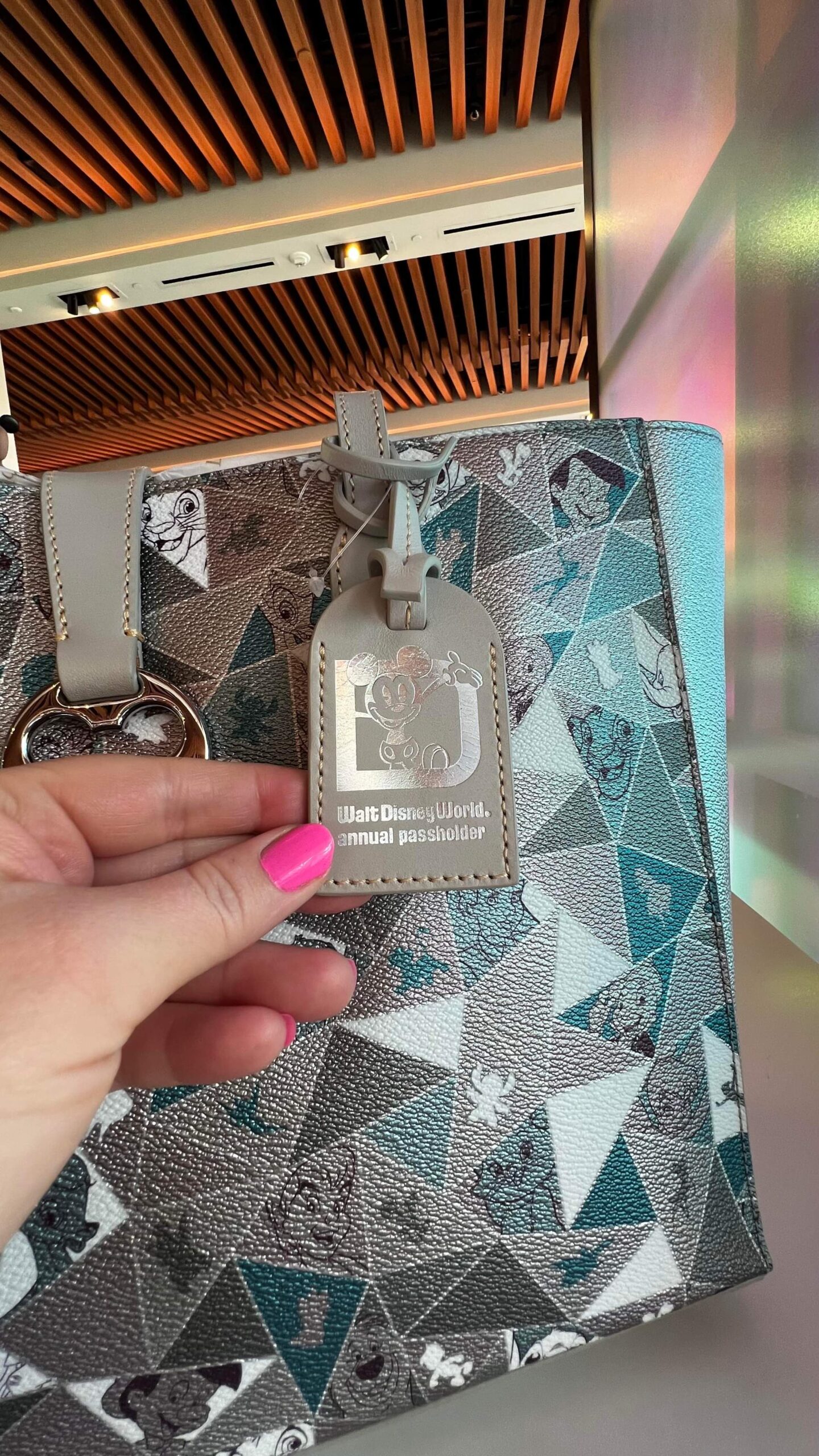 New Disney100 Dooney And Bourke Collection Now At Walt Disney World ...