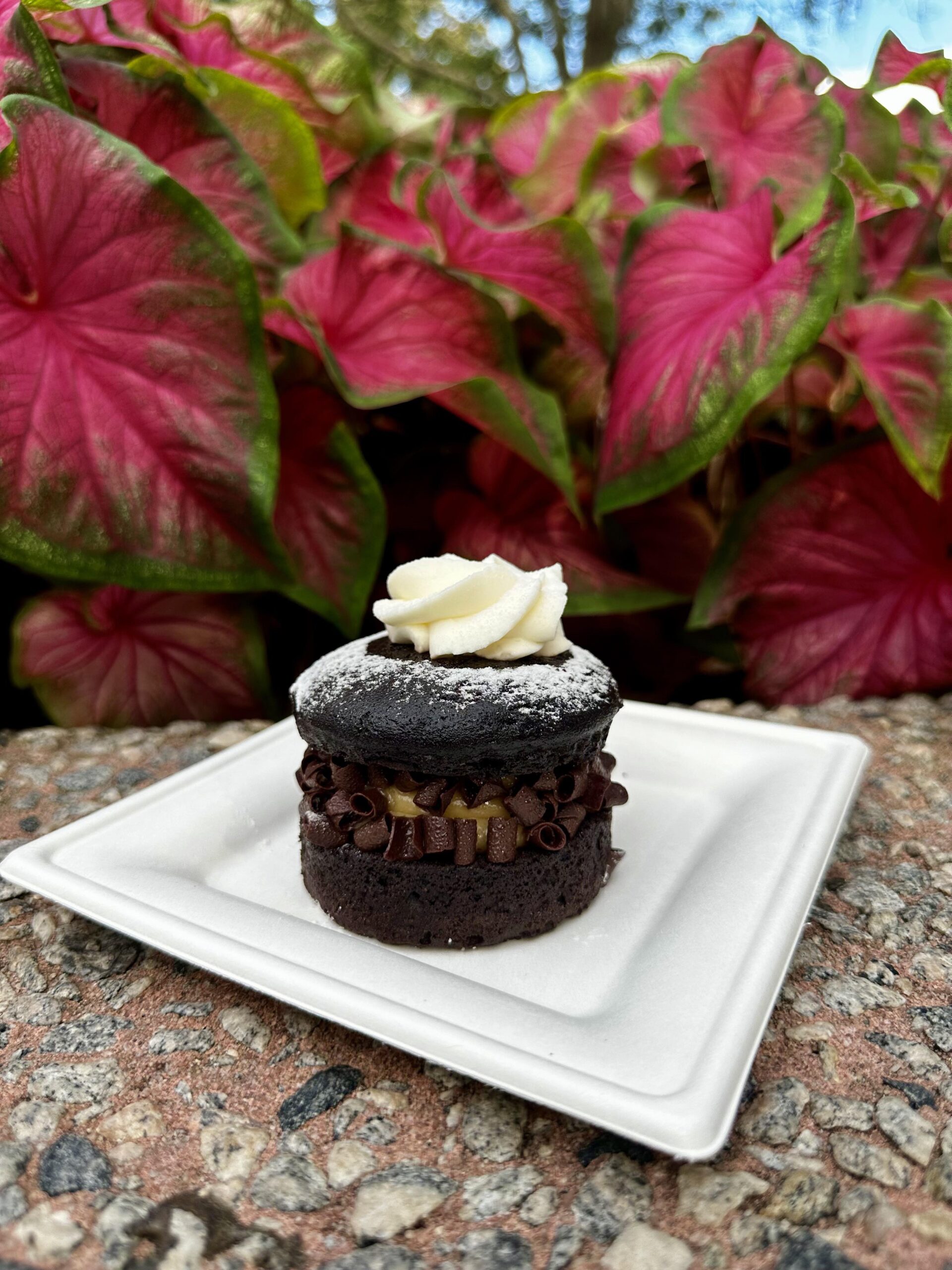 Peanut Butter Lovers will Adore this NEW Whoopie Pie in EPCOT | Chip ...