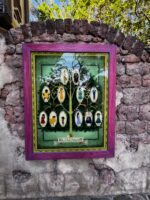 First Look at New Mirabel Meet and Greet Location in the Magic Kingdom ...