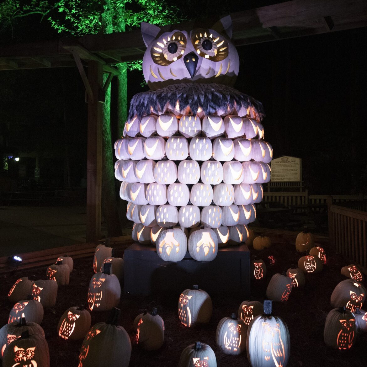 Dollywood Harvest Festival Begins Today Through October 30th | Chip and ...