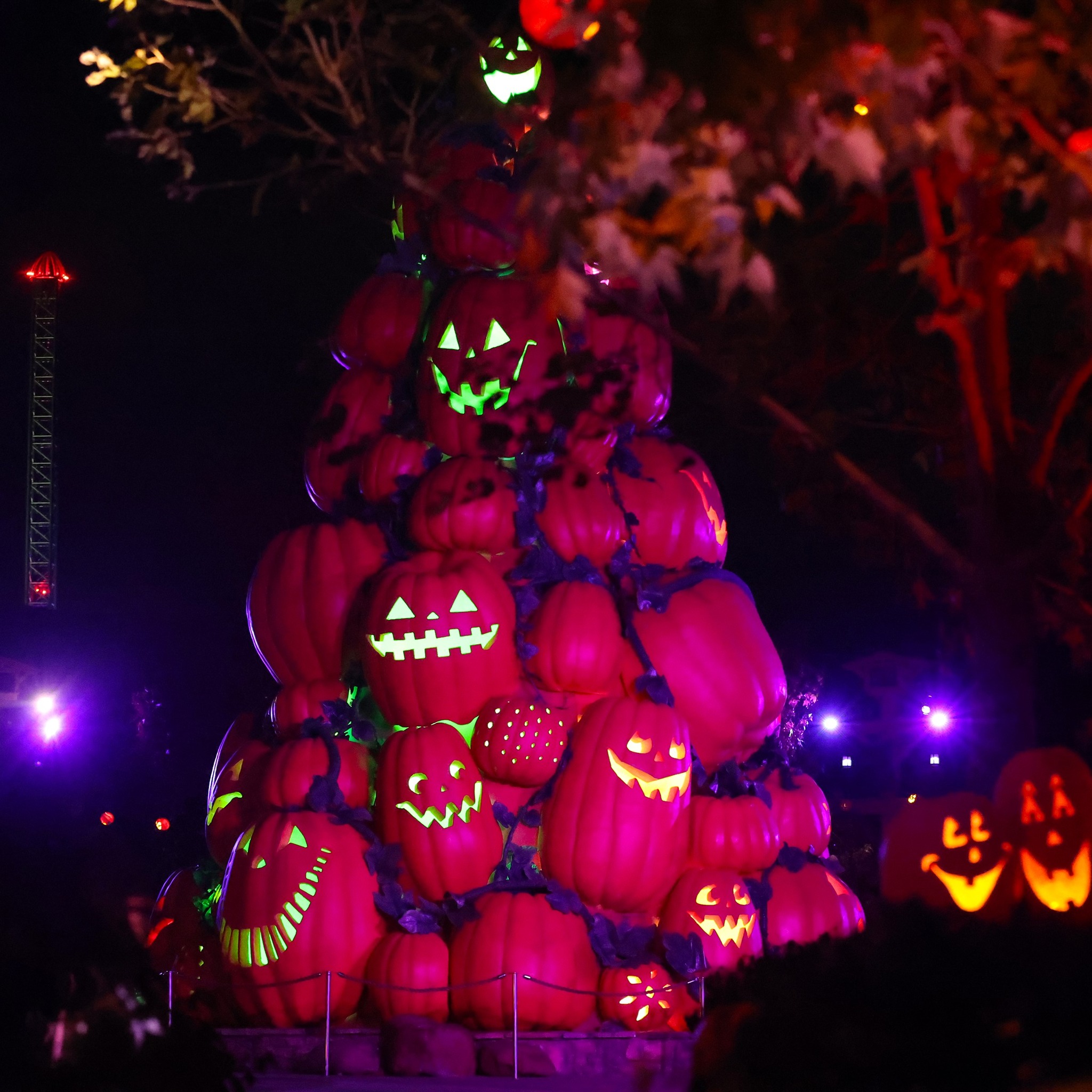 Dollywood Harvest Festival Begins Today Through October 30th | Chip and ...