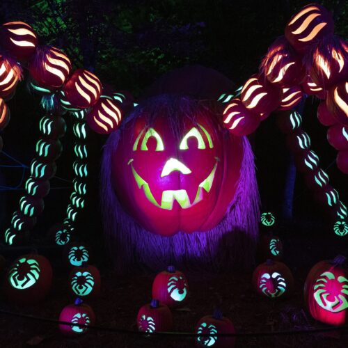 Dollywood Harvest Festival Begins Today Through October 30th | Chip and ...