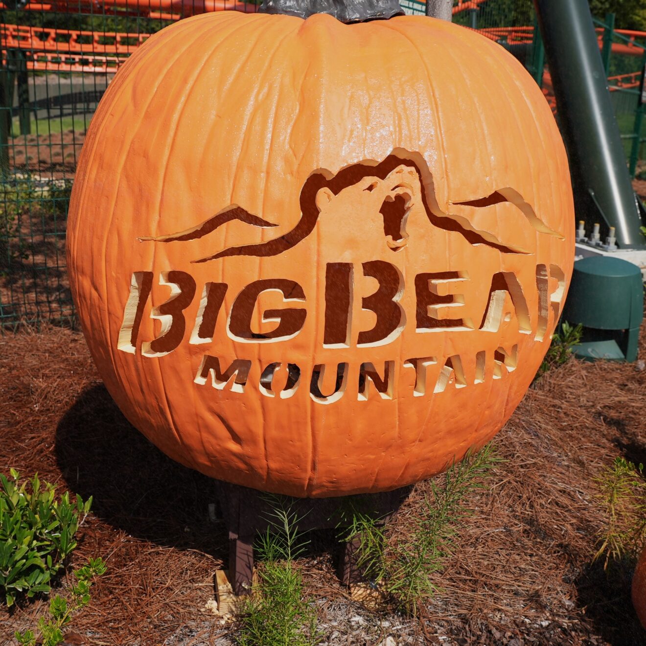 Dollywood Harvest Festival Begins Today Through October 30th | Chip and ...
