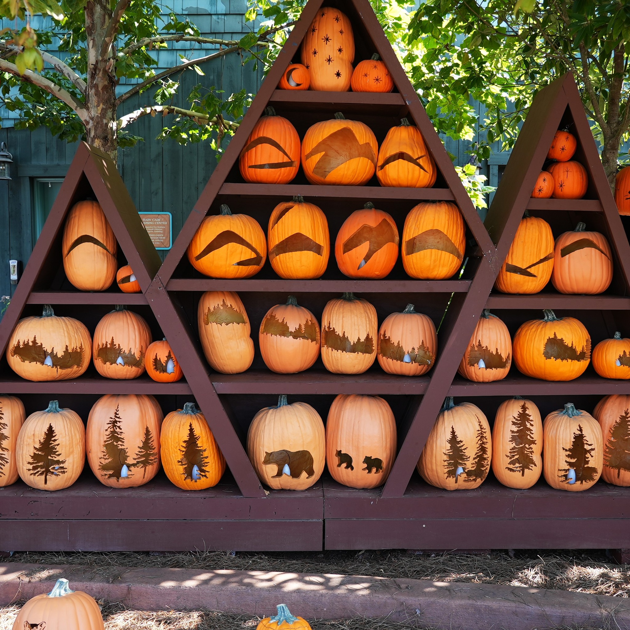 Dollywood Harvest Festival Begins Today Through October 30th | Chip and ...