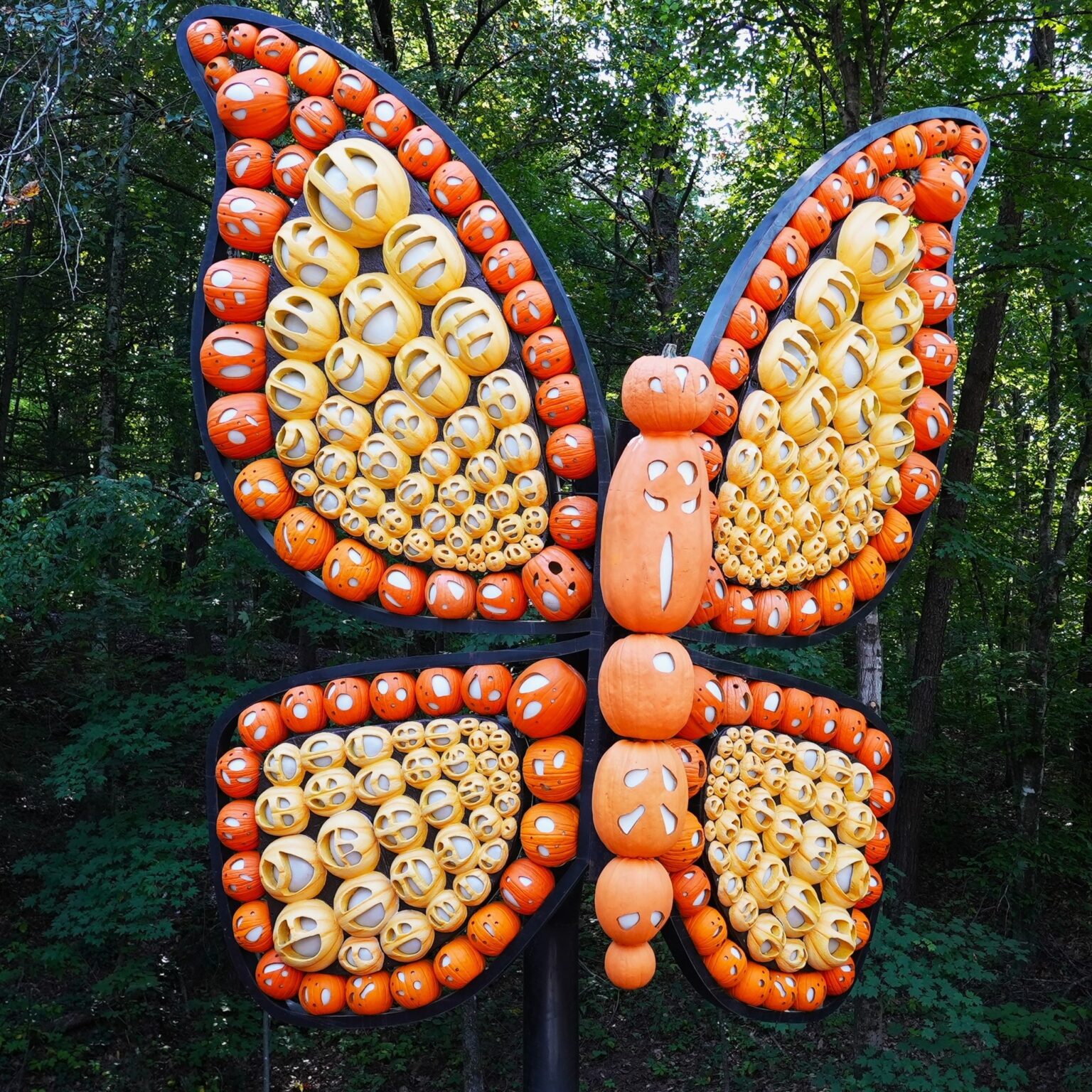 Dollywood Harvest Festival Begins Today Through October 30th | Chip and ...