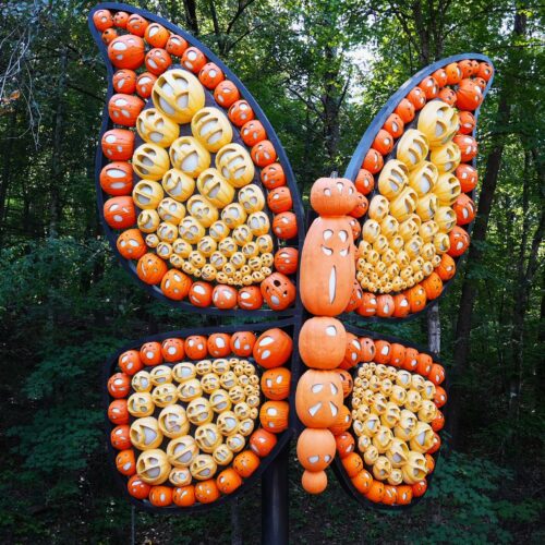 Dollywood Harvest Festival Begins Today Through October 30th | Chip and ...