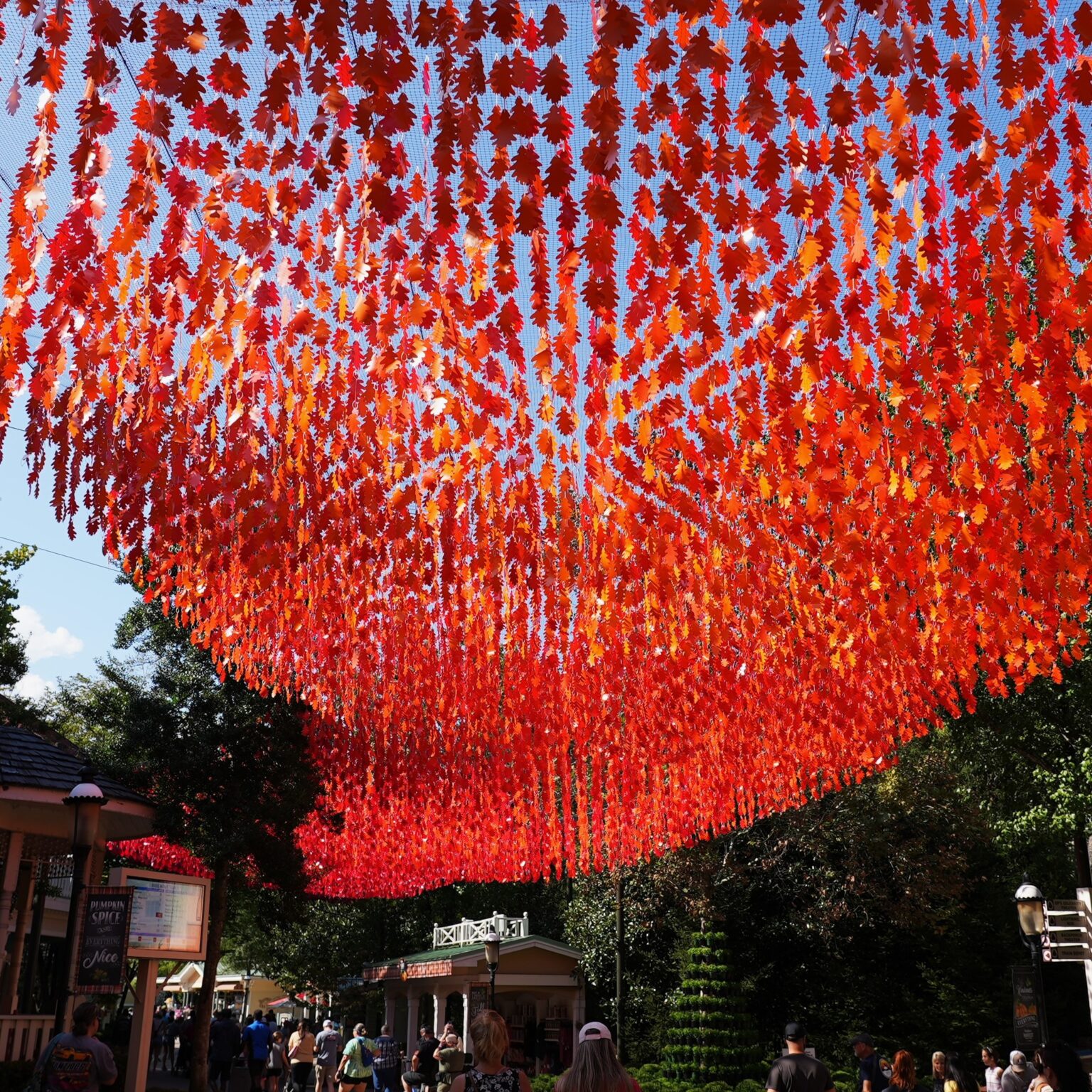 Dollywood Harvest Festival Begins Today Through October 30th | Chip and ...
