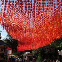 Dollywood Harvest Festival Begins Today Through October 30th | Chip and ...