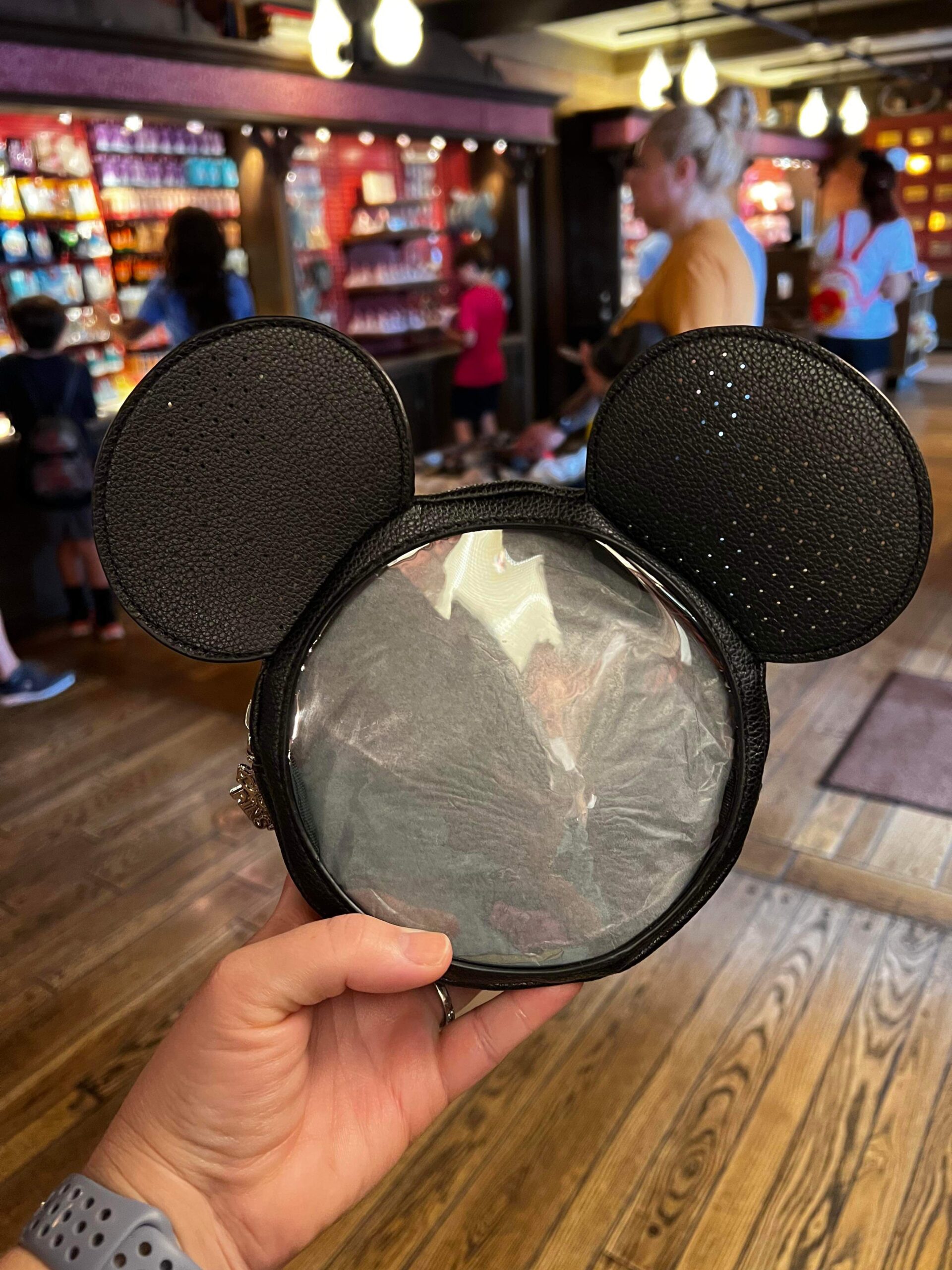 New Disney Pin Bags Available At Magic Kingdom! | Chip and Company