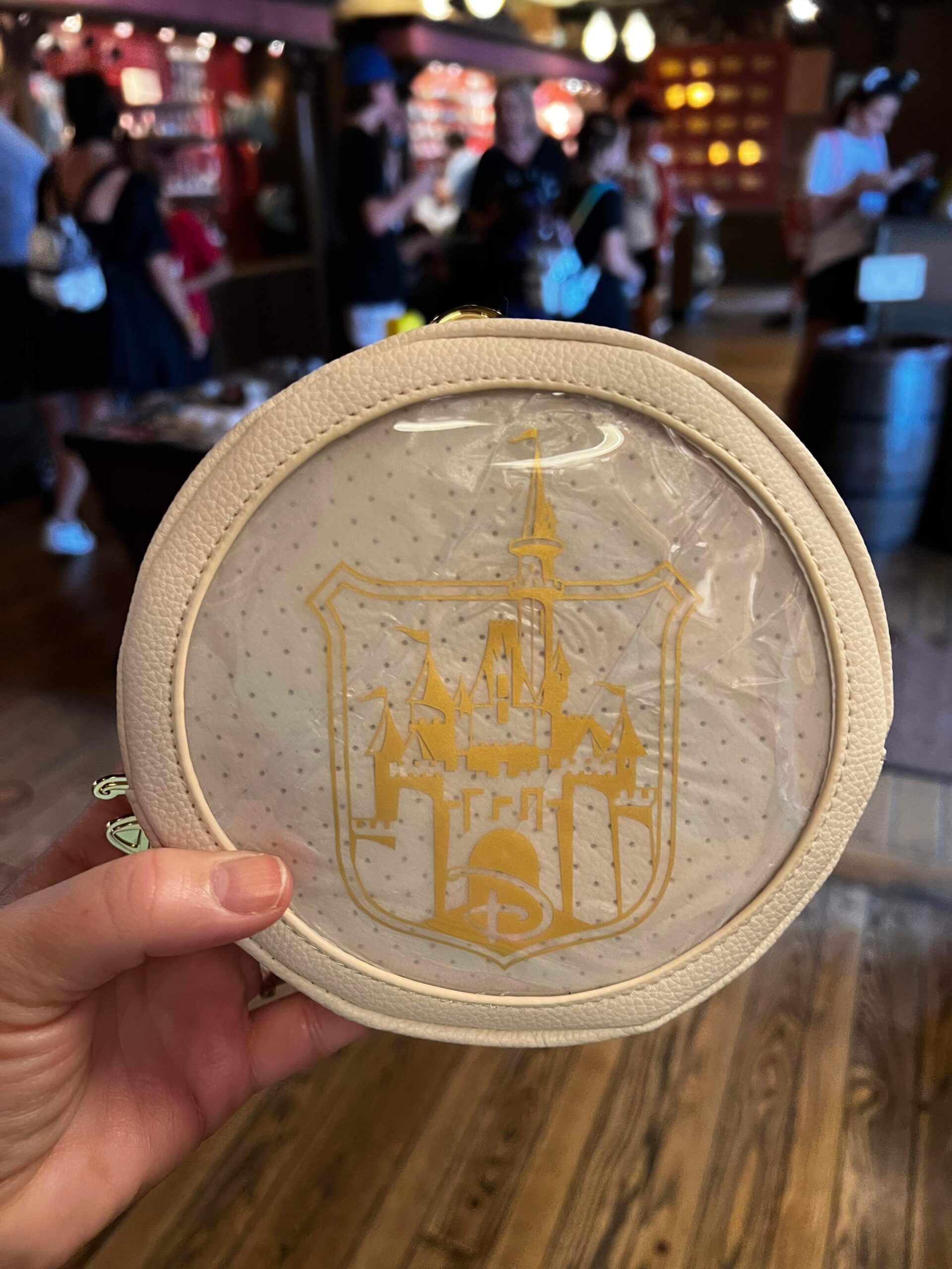 New Disney Pin Bags Available At Magic Kingdom! | Chip and Company