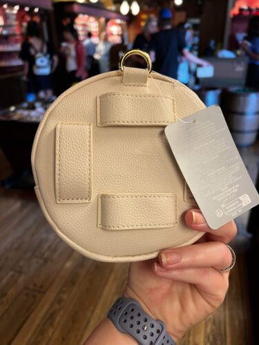 New Disney Pin Bags Available At Magic Kingdom! | Chip and Company