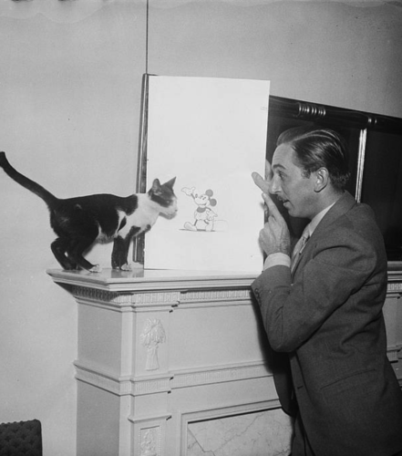 Reflecting on Disney 100 and a Century of the Walt Disney Corporation ...
