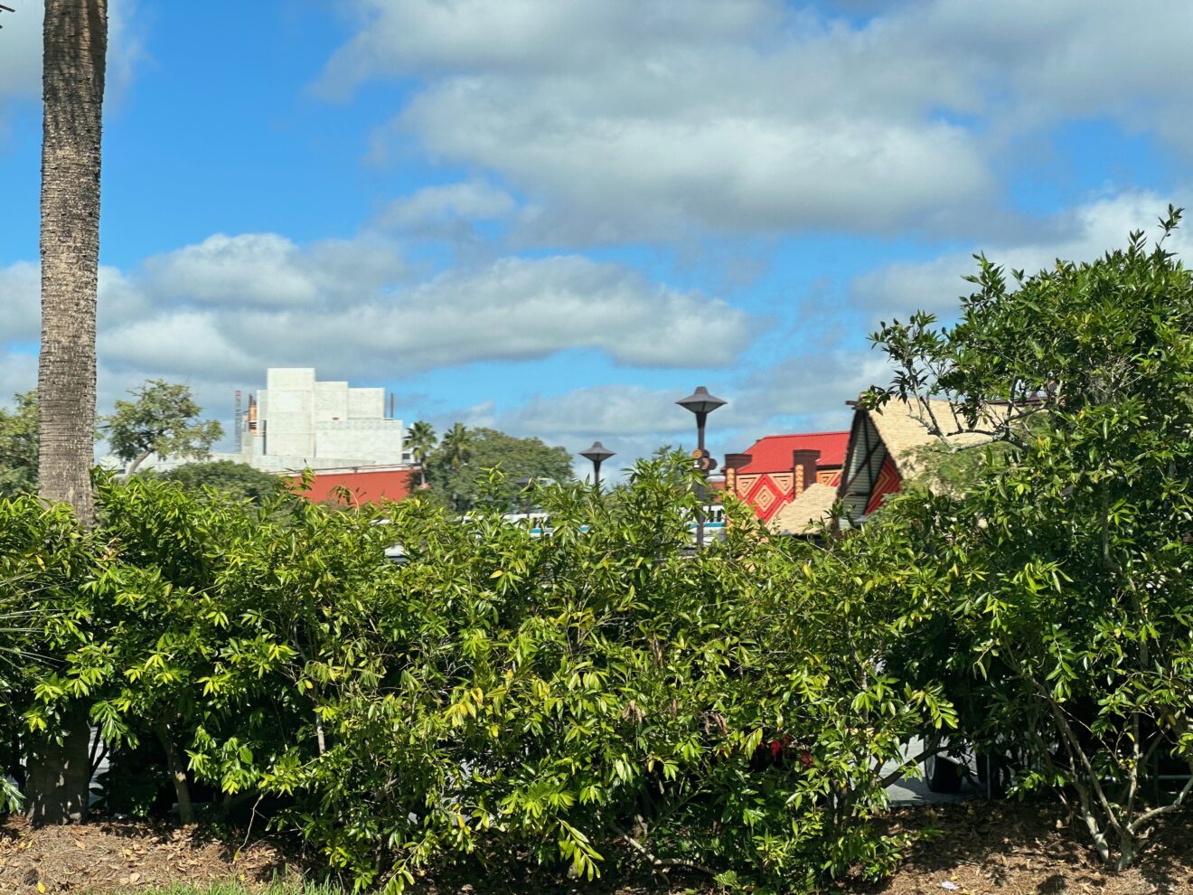 Closer look at the DVC Tower Construction at Disney's Polynesian Resort ...