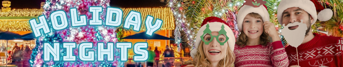 Experience Holiday Nights at Island H2O Water Park | Chip and Company