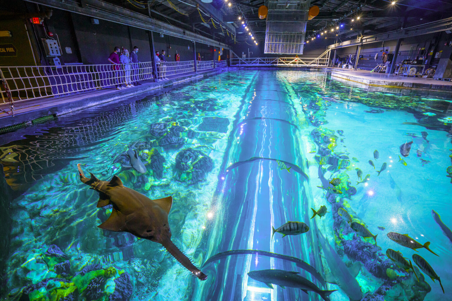 SeaWorld Orlando’s Popular “Inside Look” Program is Back with New ...