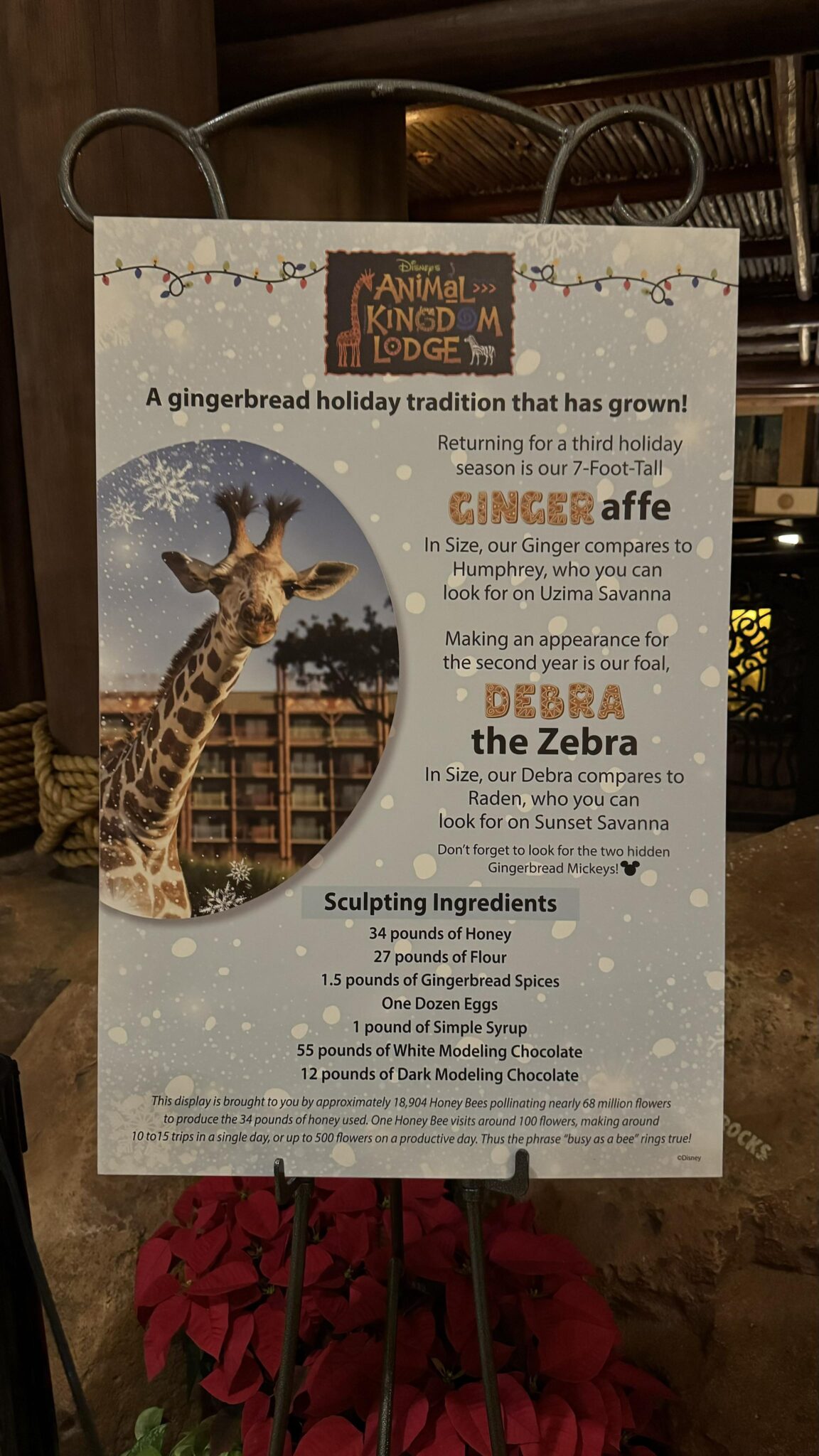 Gingeraffe and Debra the Zebra Return to Animal Kingdom Lodge for 2023 ...