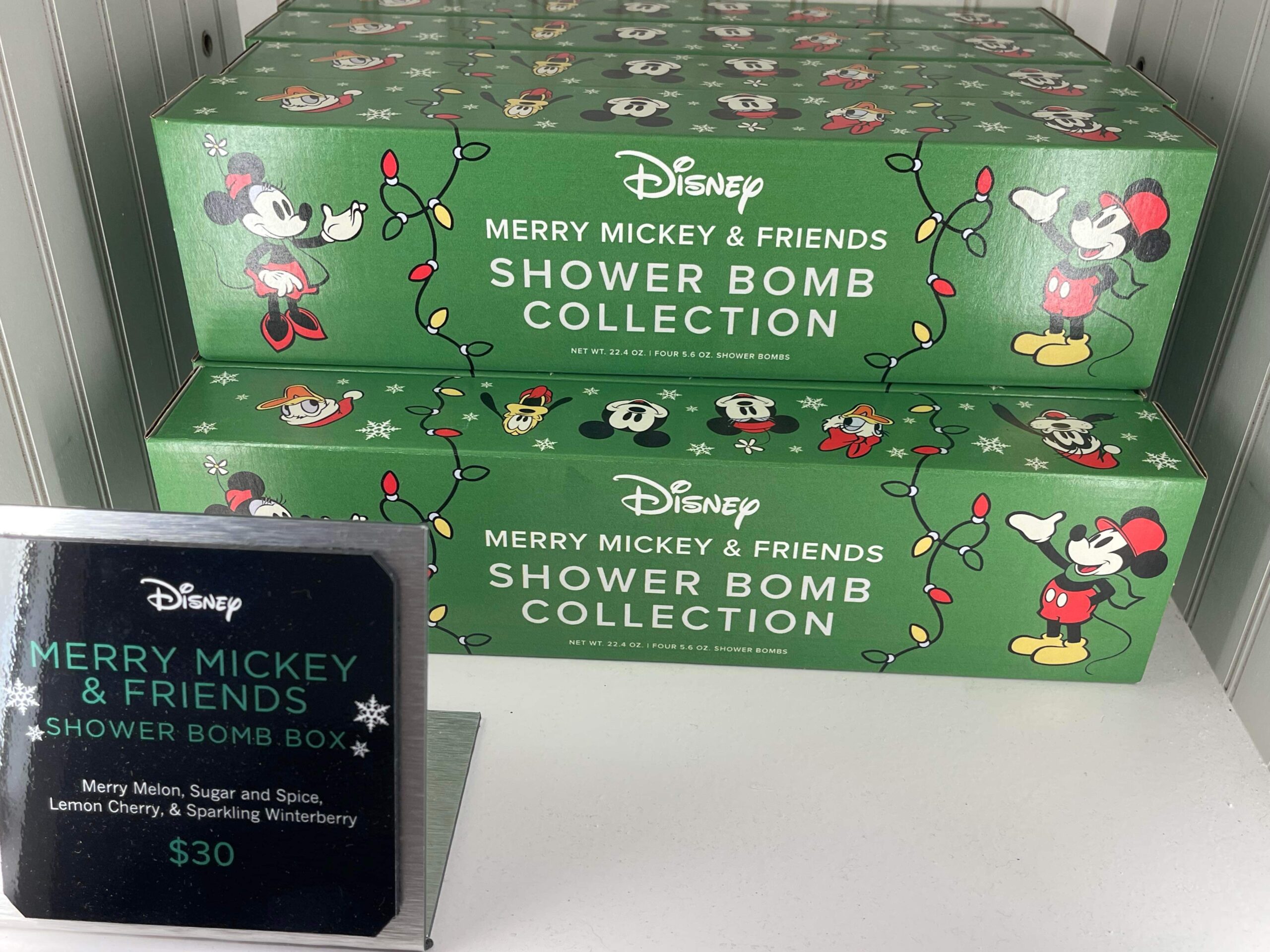 Disney Basin Holiday Collection Available At Disney Springs! | Chip and ...