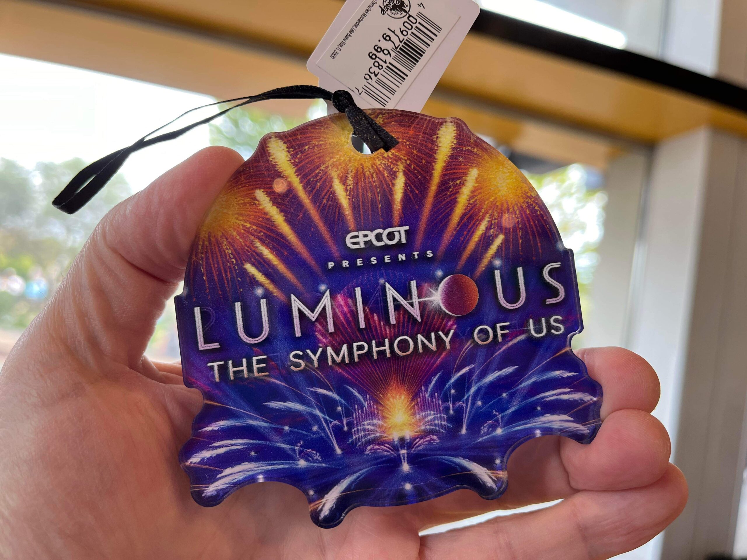 First Look At New Luminous Merchandise Available At Epcot! | Chip and Company