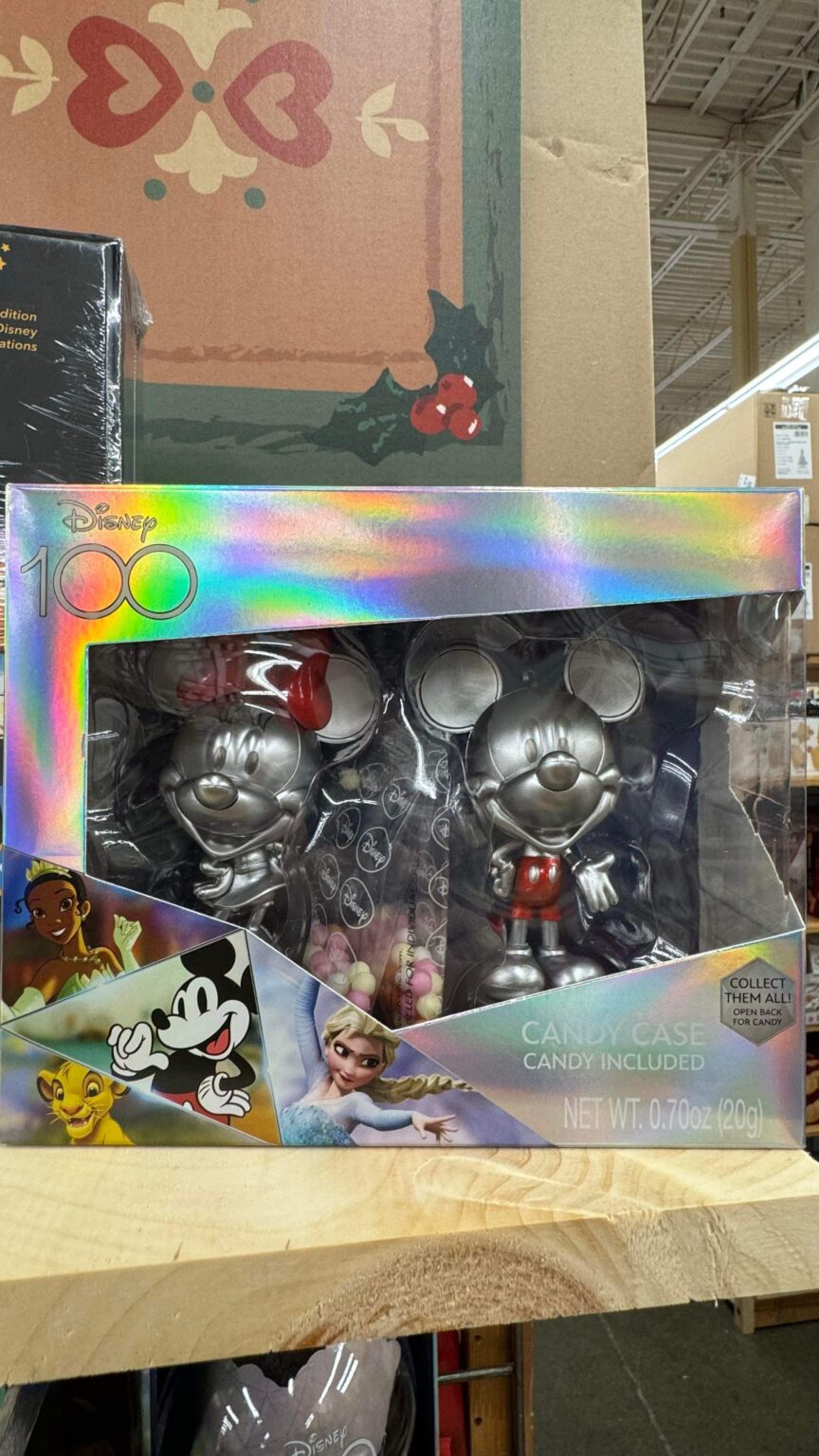 Magical Disney100 Merch Spotted at World Market! | Chip and Company