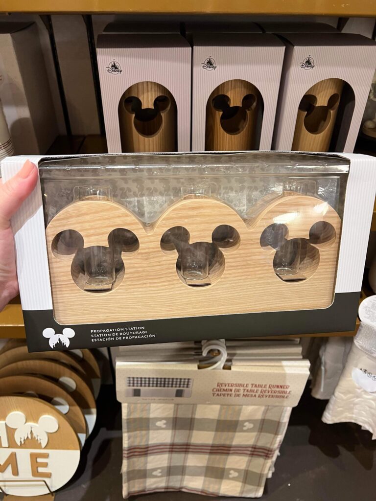 New Disney Home Collection Available At Hollywood Studios! | Chip and ...