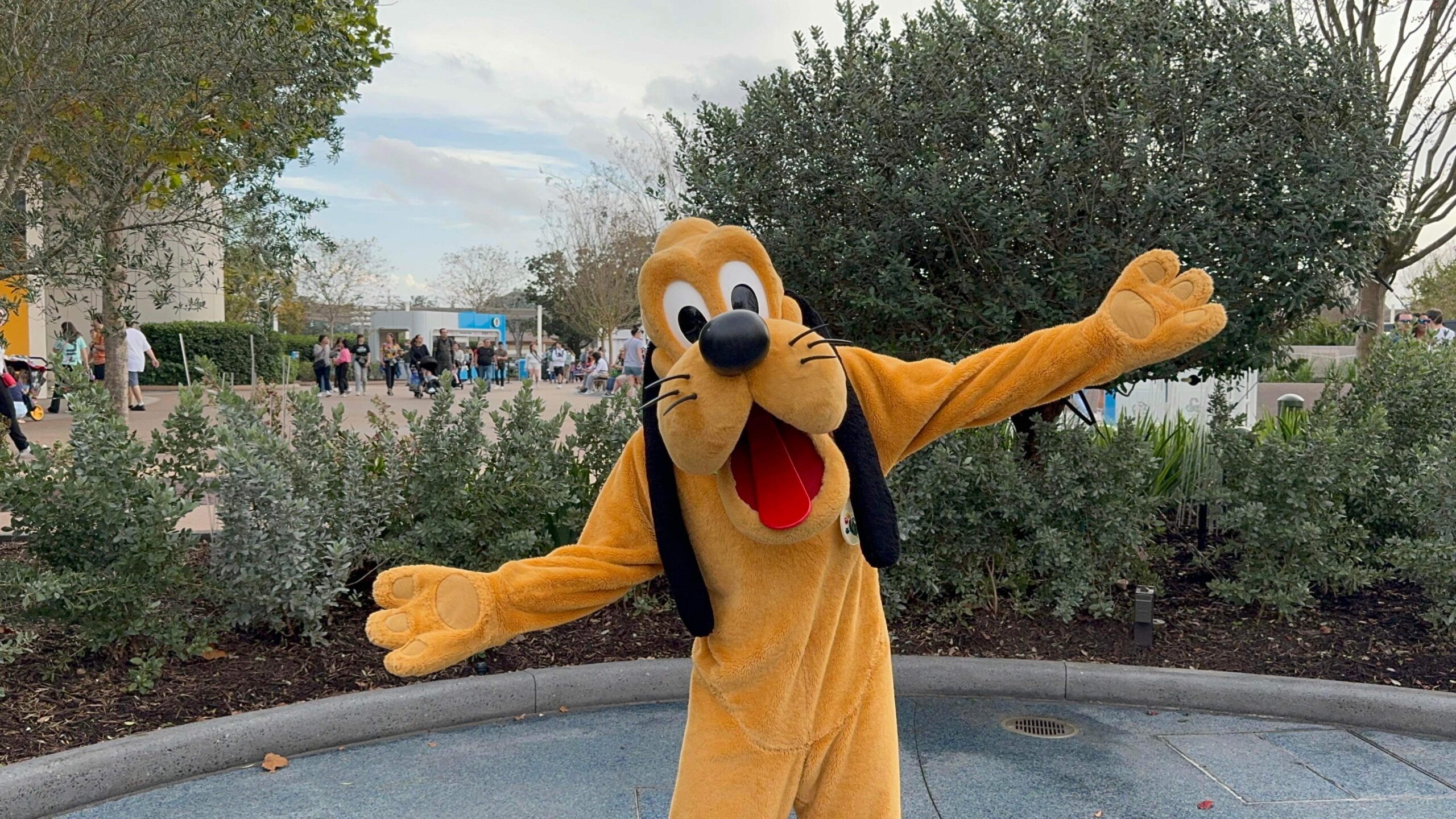 Pluto Shows Off his New Collar for EPCOT Festival of the Arts | Chip ...