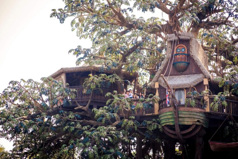 Tarzan’s Treehouse now reopened at Hong Kong Disneyland | Chip and Company
