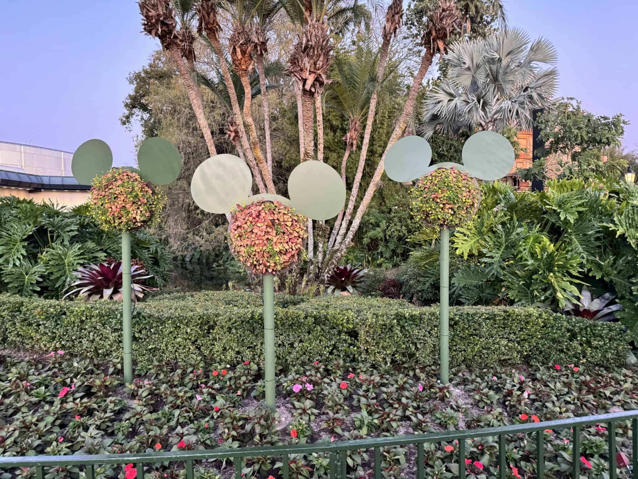 topiary-mickey-head