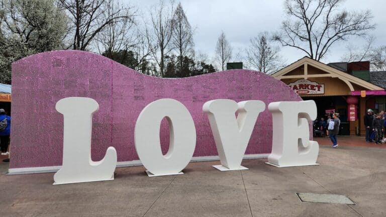 Dollywood Named Top Workplace in 2024 | Chip and Company