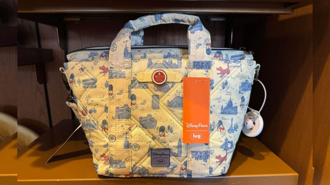Adorable Winnie the Pooh Lug Tote Bag Spotted At Epcot! | Chip and Company