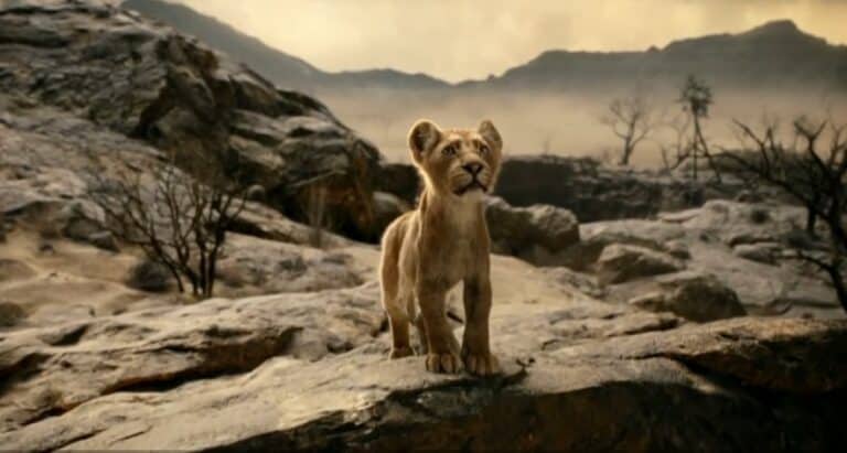 First Look at Young Mufasa in The Lion King Prequel Movie | Chip and ...
