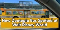 New Zootopia Bus Spotted at Walt Disney World | Chip and Company