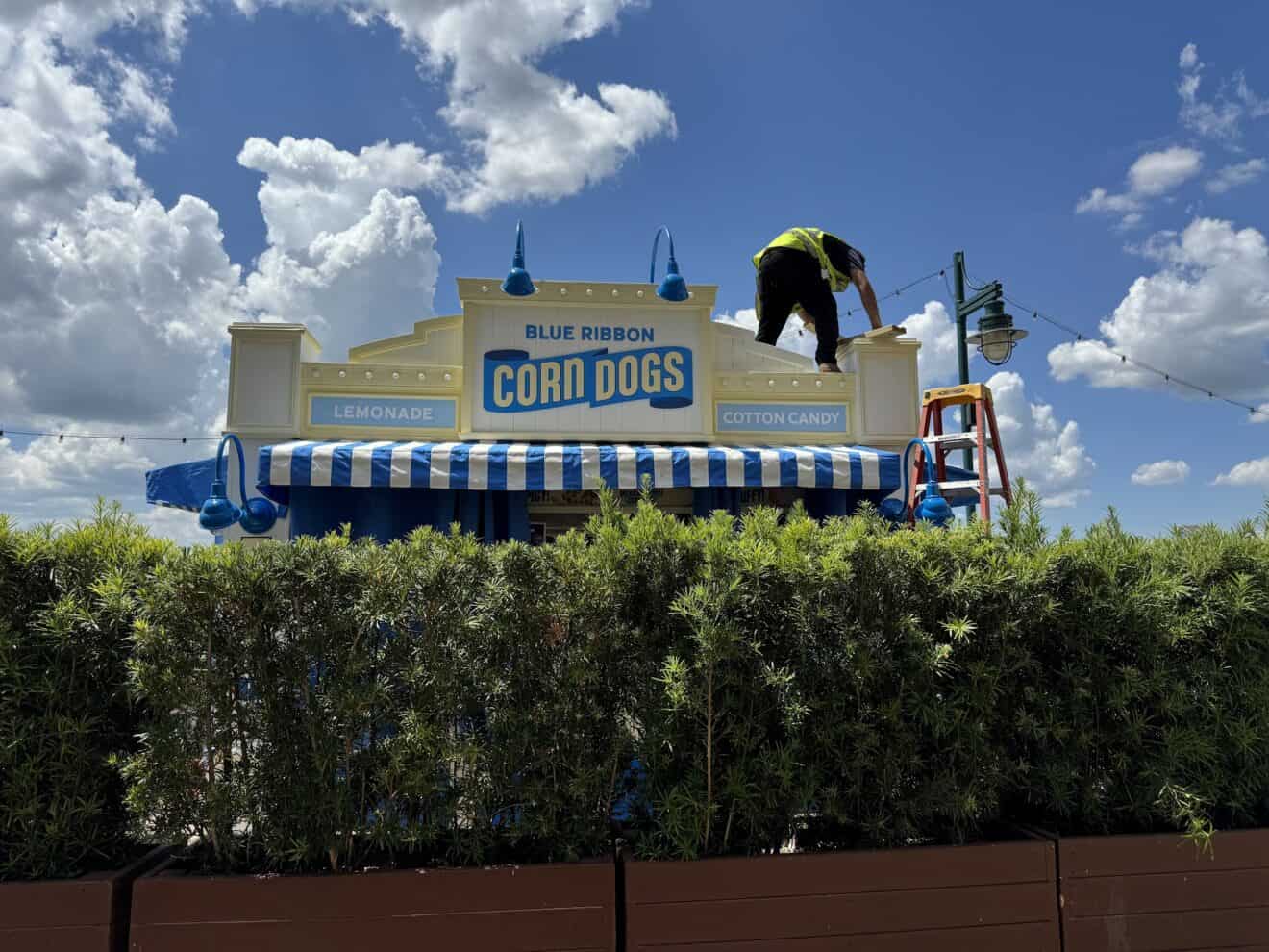 Signage Visible for Blue Ribbon Corn Dogs in Disney's Boardwalk | Chip ...