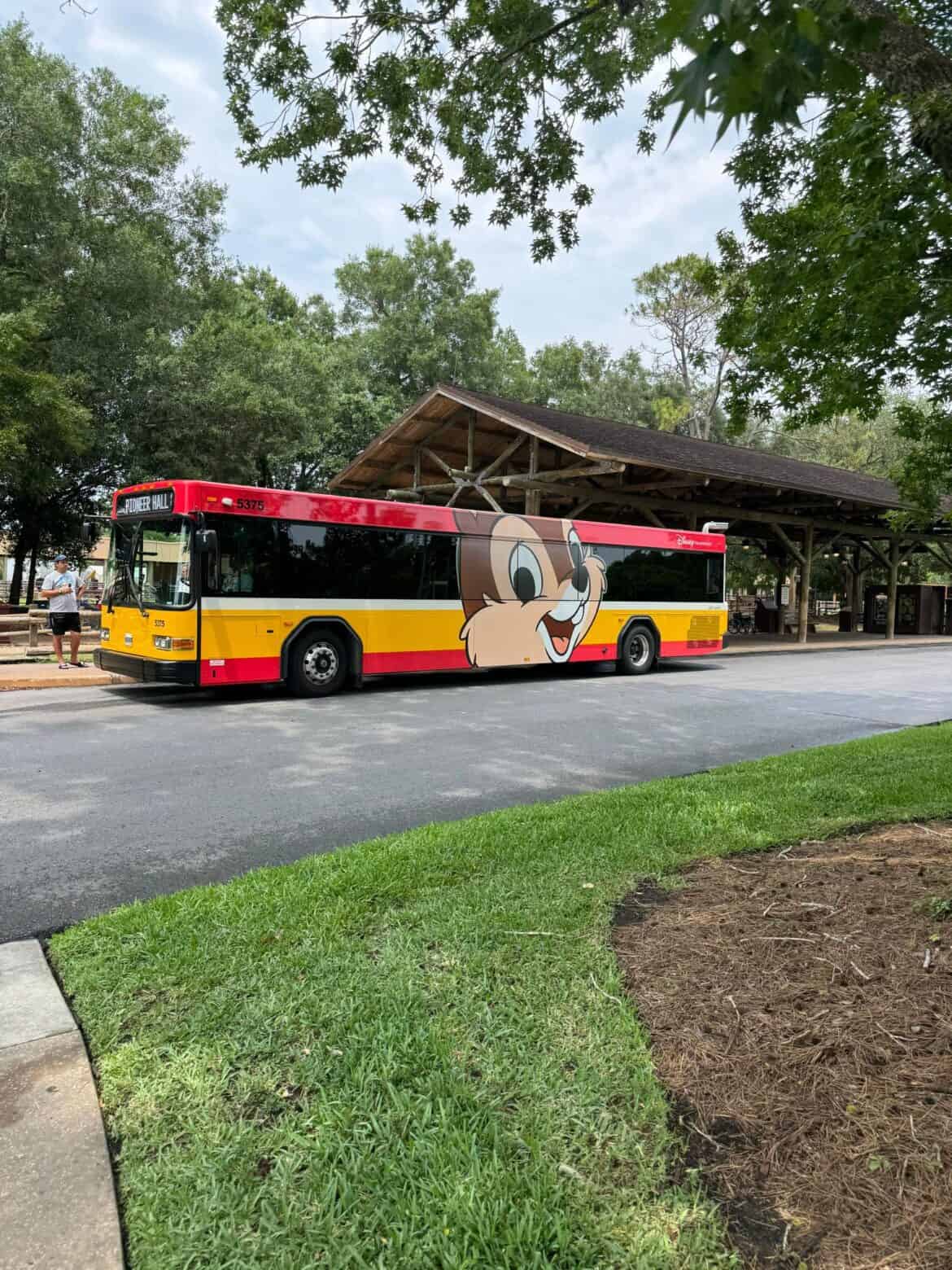 New Chip 'n Dale Bus Spotted at Walt Disney World | Chip and Company