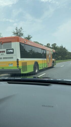 orange-bird-bus-1-2-walt-disney-world