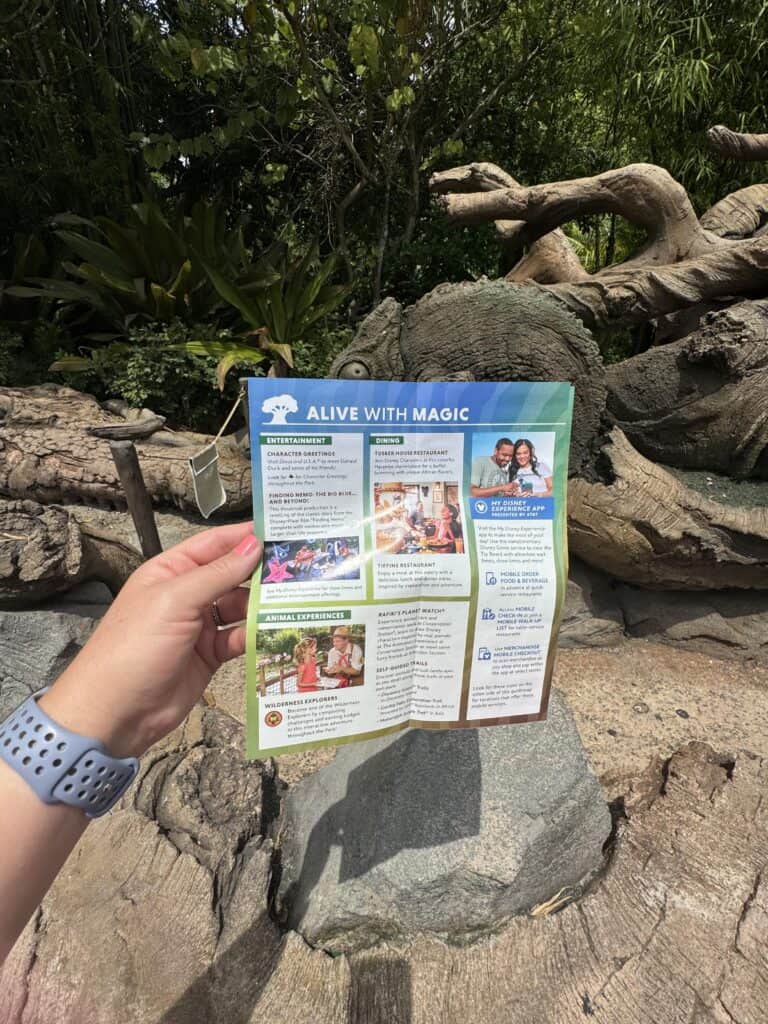 Disney's Animal Kingdom Park Map Update Removes Character Flotillas ...