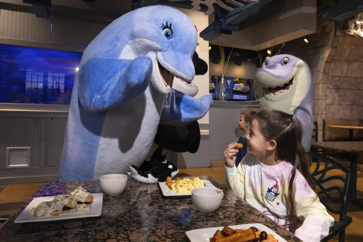 Summer Sizzles at SeaWorld Orlando with New Antarctica Realm, Live ...