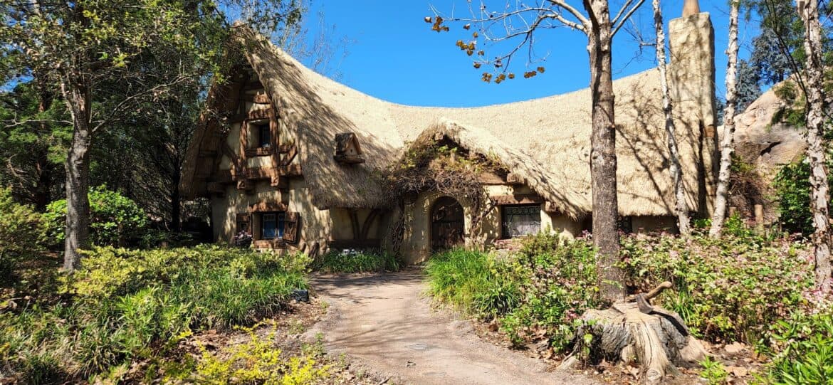 VIDEO: Guest Refills Water Bottle in Seven Dwarfs Mine Train Queue ...