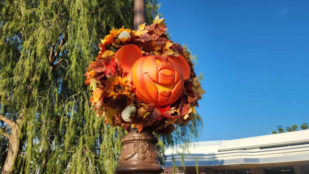 Mickey Mouse Pumpkin Wreaths Coming to the Disney Store | Chip and Company