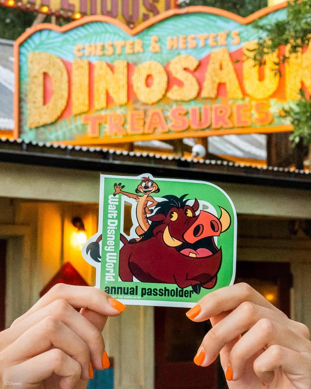 New Timon & Pumbaa Annual Passholder Magnet Arrives at Disney World ...