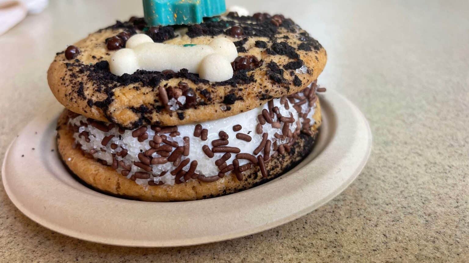 Dig into a Dino Dig Ice Cream Sandwich at Dino-Bite Snacks | Chip and ...
