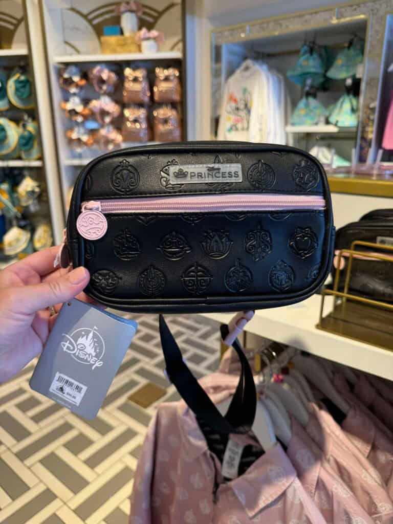 Disney Princess Icons Collection: A Royal Treat at Hollywood Studios ...