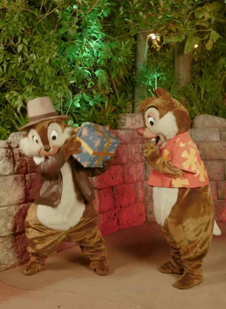 chip dale