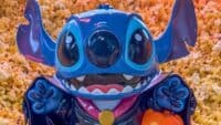 New Vampire Stitch Popcorn Bucket Coming to Disneyland | Chip and Company