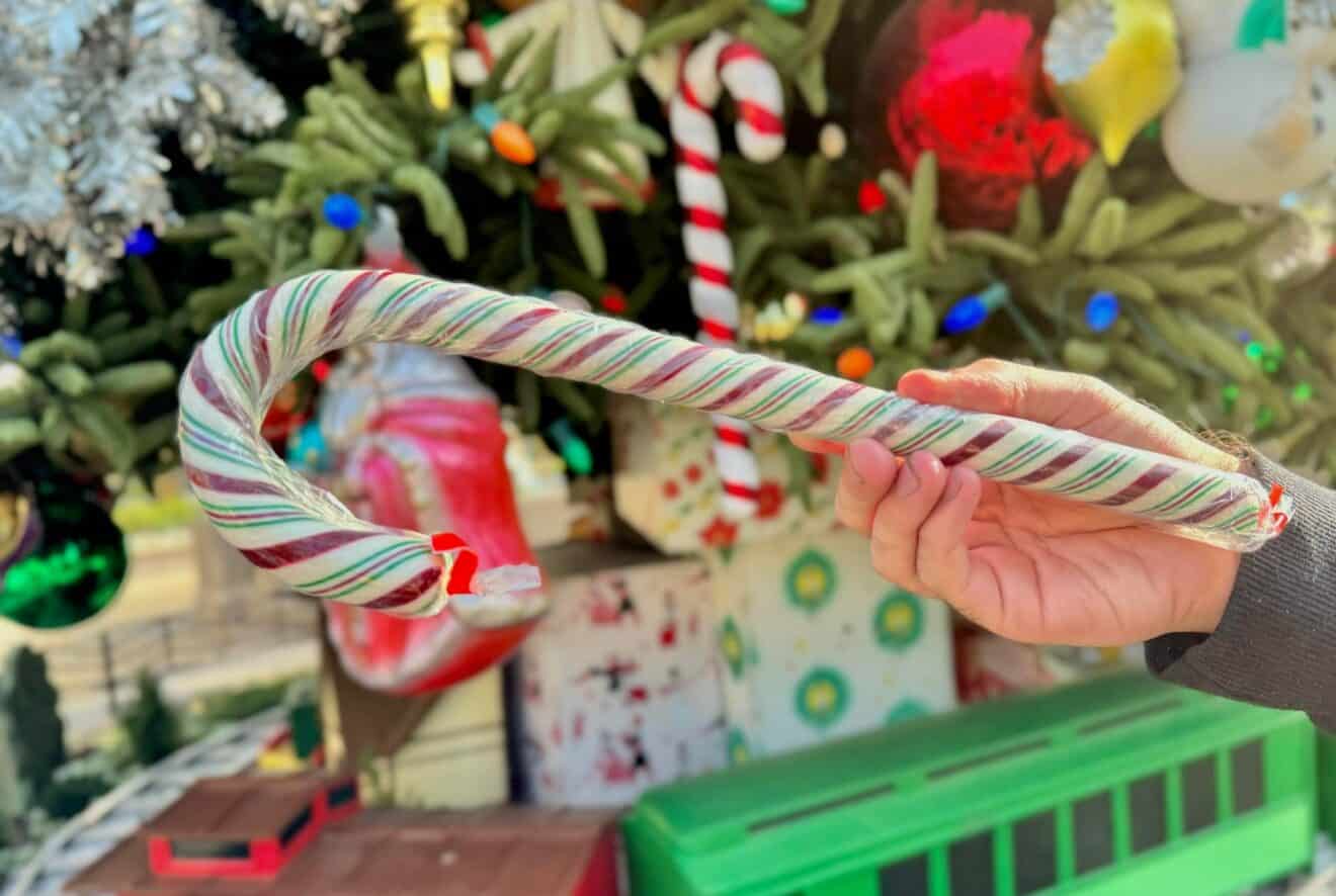Disneyland Announces 2024 Candy Canes Distribution Schedule | Chip and Company