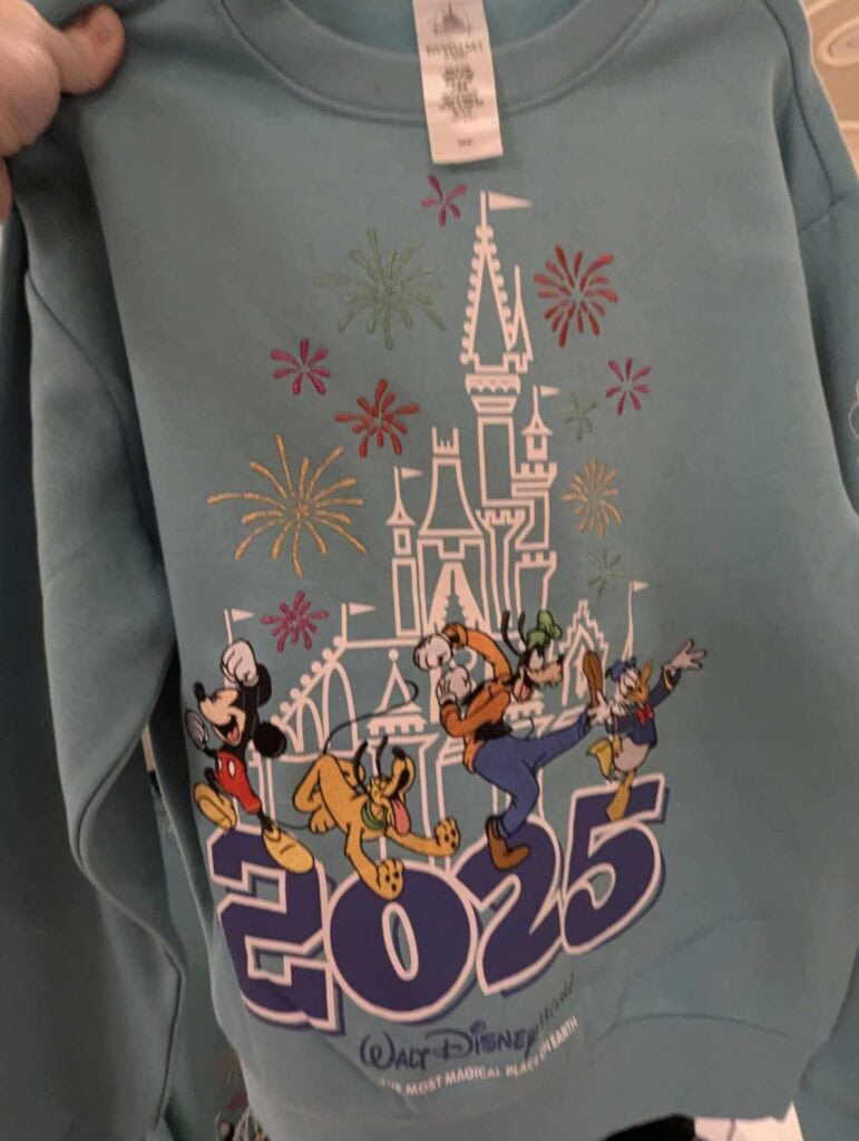 NEW Walt Disney World 2025 Merchandise To Ring The New Year! | Chip and ...